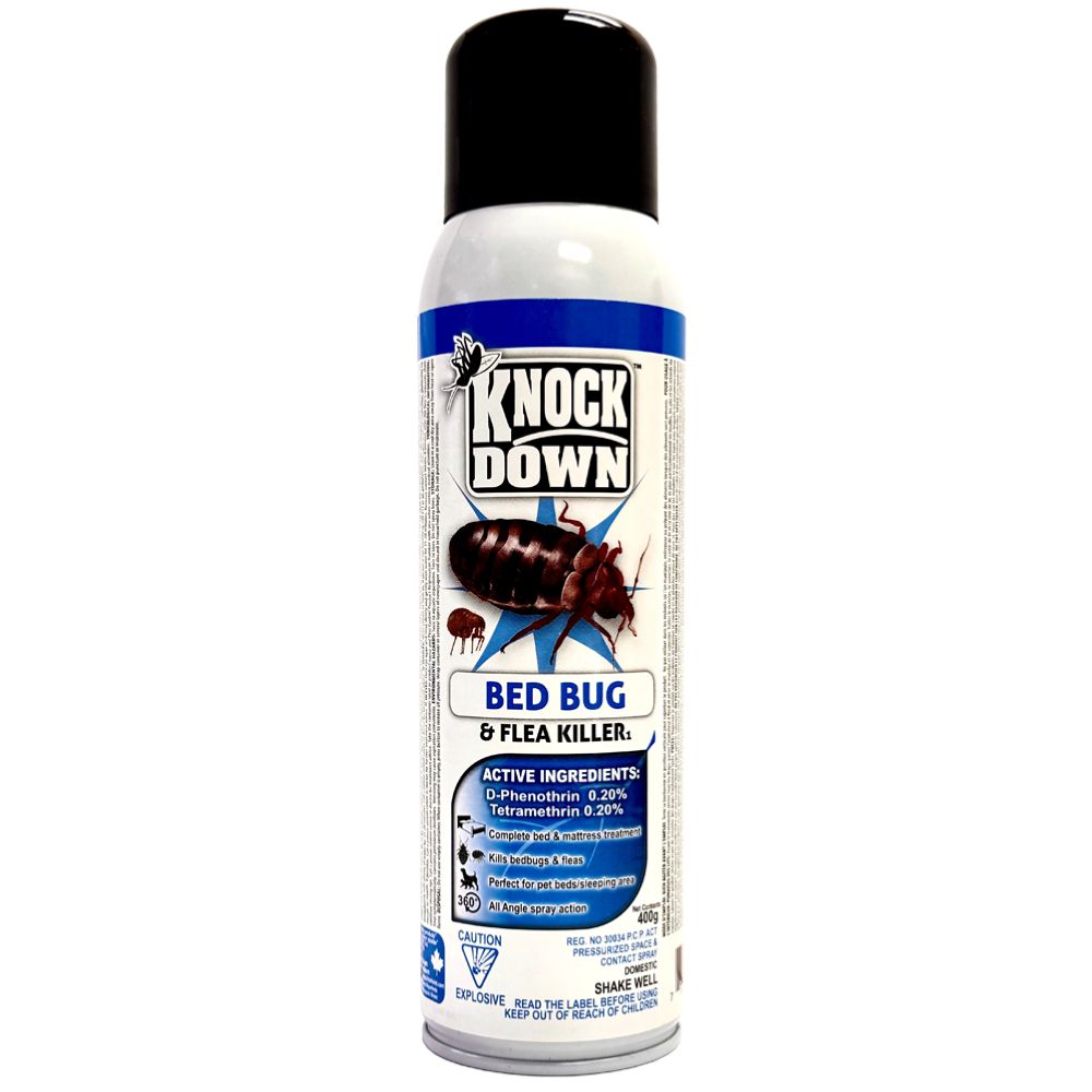 KD111DS – KNOCK DOWN – BED BUG KILLER – Kuus Inc.