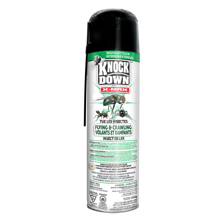 KD120D – KNOCK DOWN – X-MAX Flying and Crawling Insect Killer 454g ...